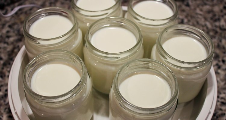 ¿Cómo hacer tu propio yogurt saludable? . Saludalia.com