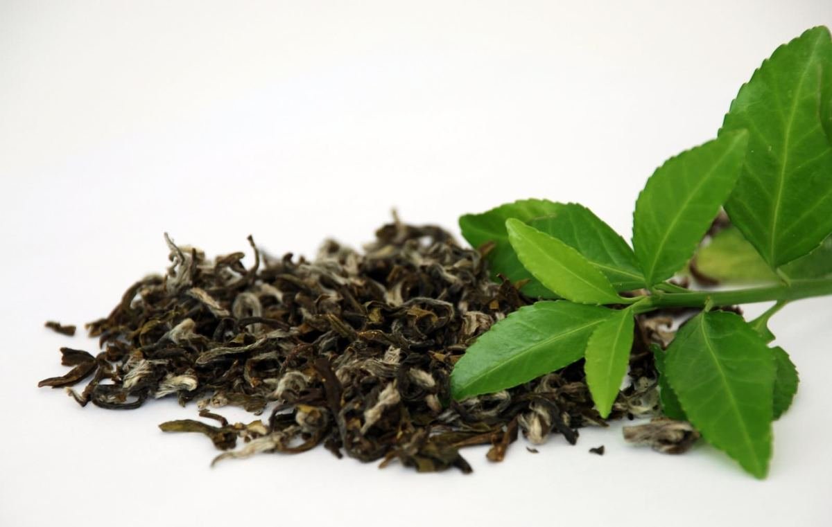 El té verde y sus beneficios en nuestra salud. Saludalia.com